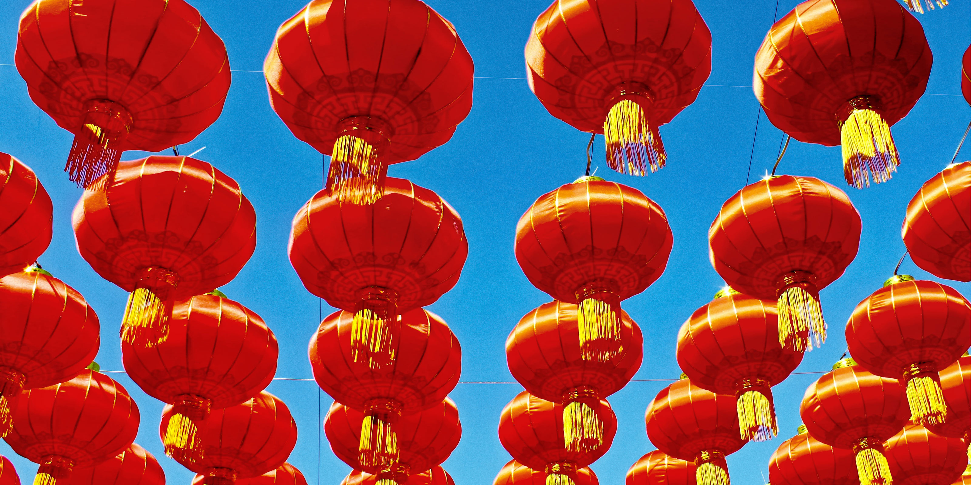 bdp China Webinare 2021/2022 - Erfolg im Chinageschäft | bdp Team